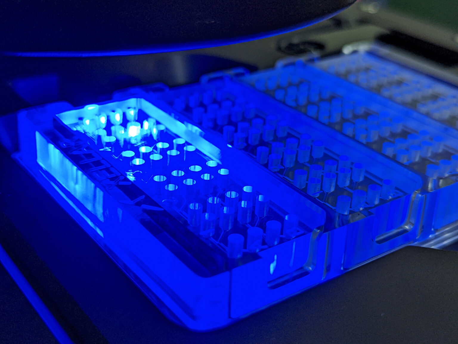 Xellarbio